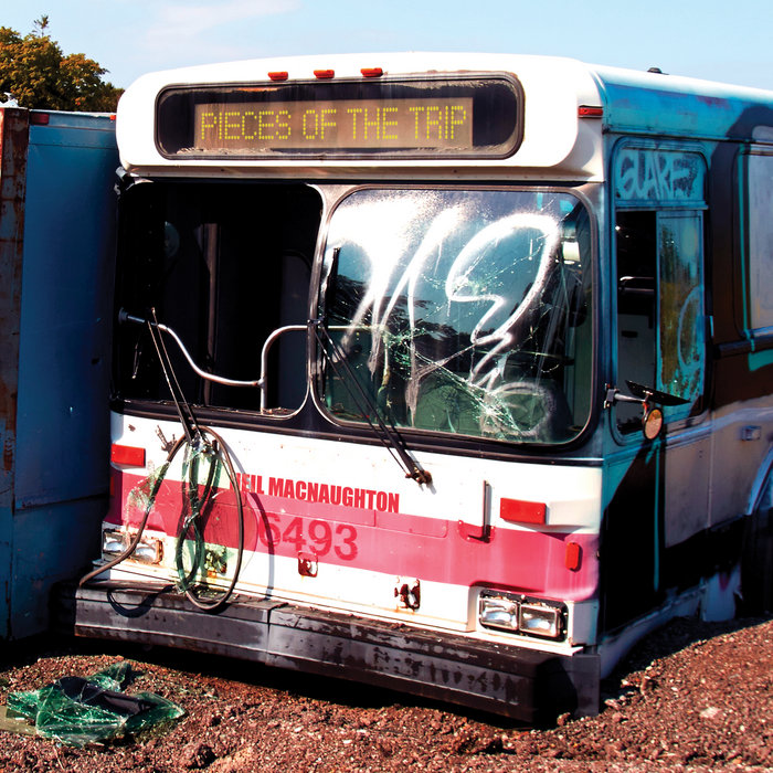 Pieces Of The Trip | Neil MacNaughton