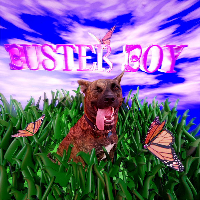 Buster Boy | Dolphin Hyperspace