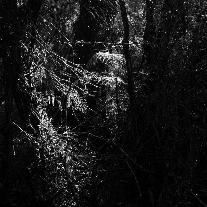 Unrendered Language | R. Rebeiro