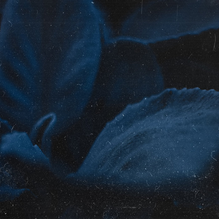 Slow Dreaming | Smooth Sleep | Aether Gaze