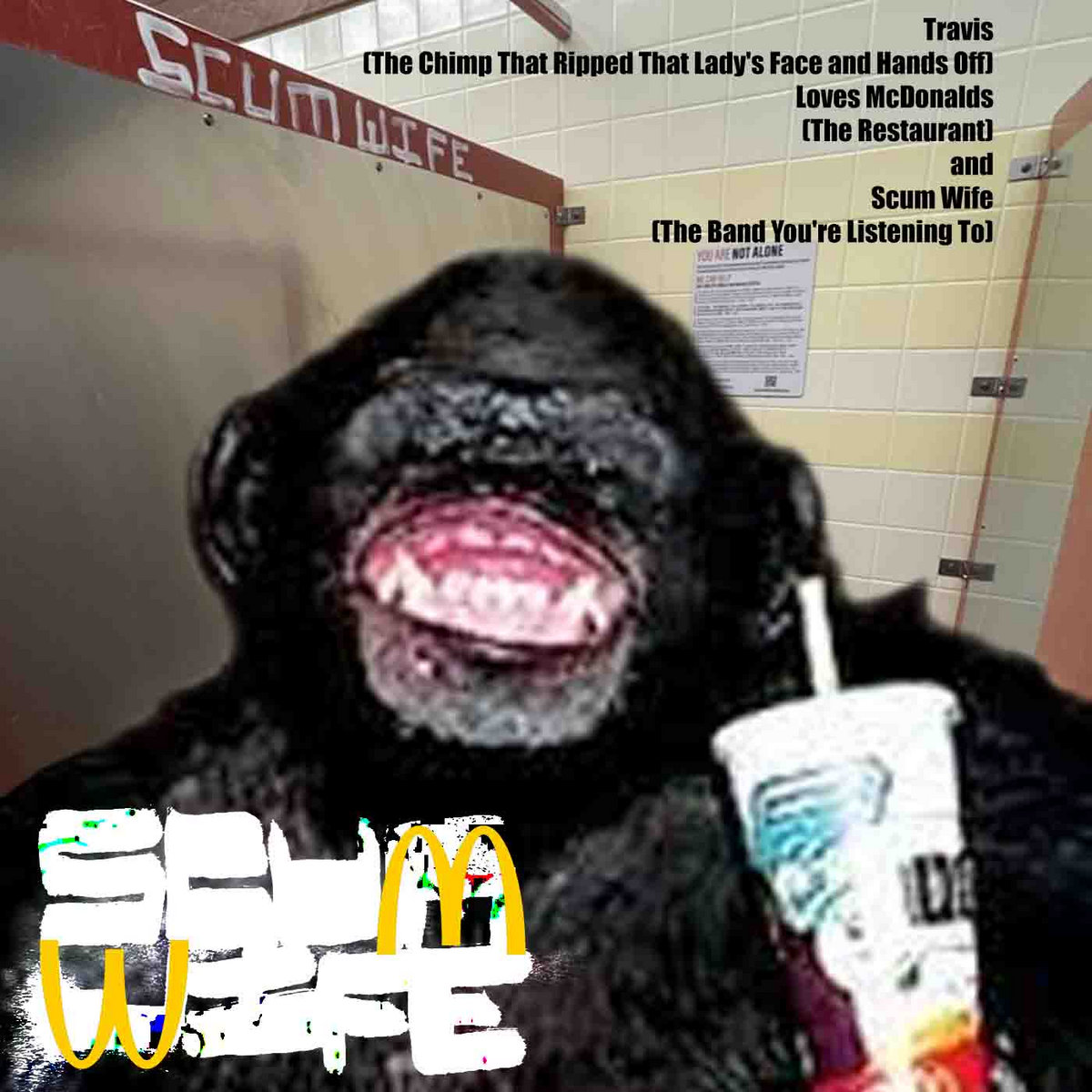 Travis (The Chimp That Ripped That Lady's Face and Hands Off) Loves ...
