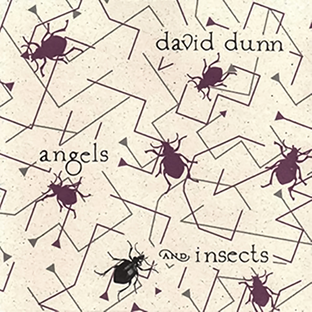 Angels & Insects | David Dunn