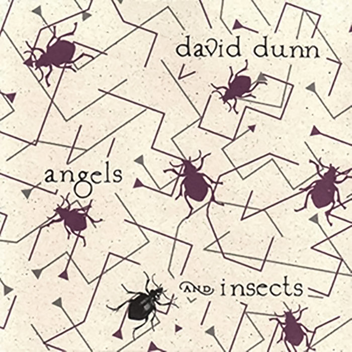 Angels & Insects | David Dunn