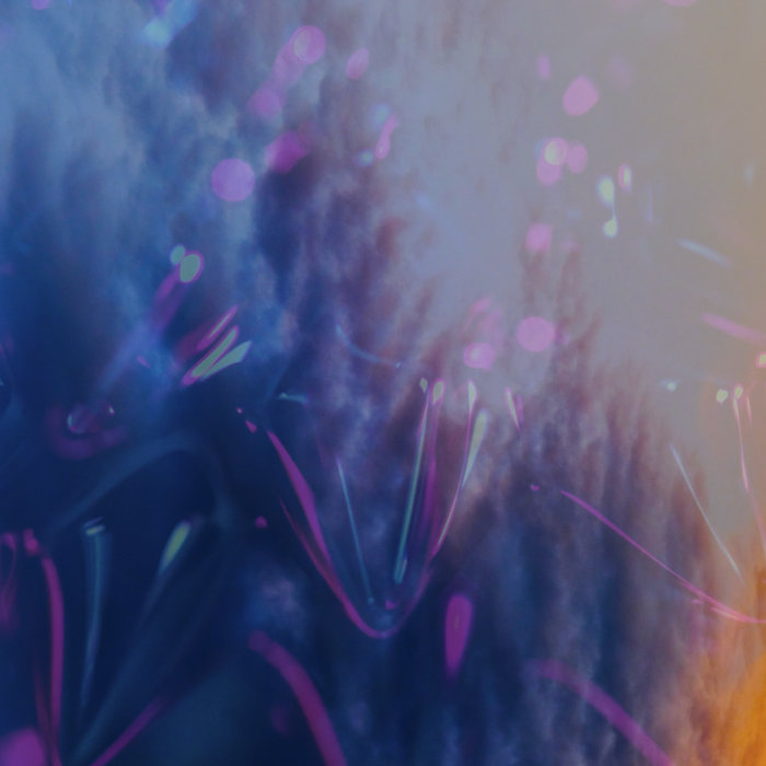 Landing Loop | Purple | PurplZ