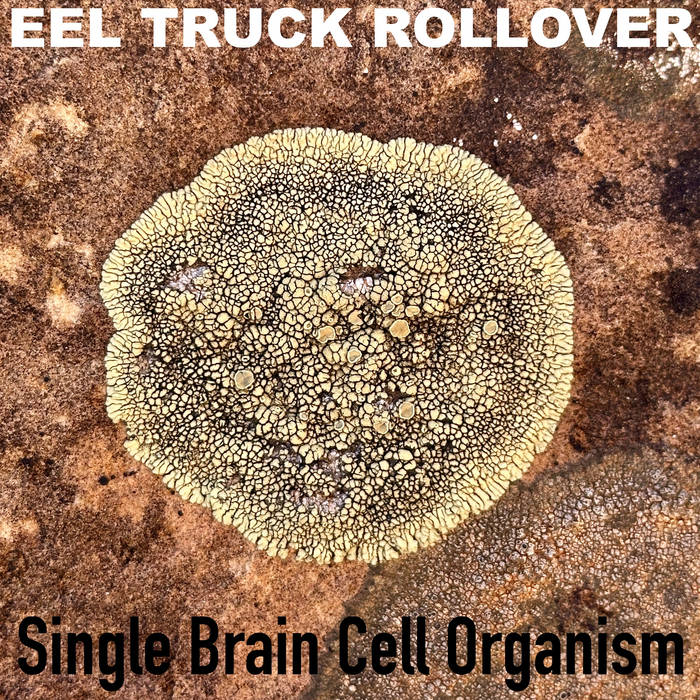 Wavehead Part 9 Single Brain Cell Organism Eel Truck Rollover