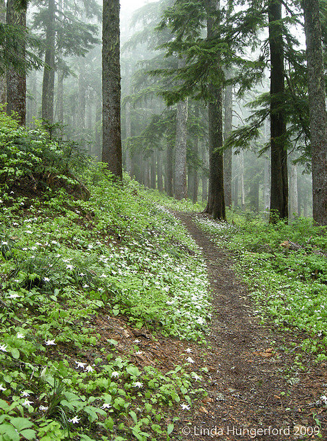 Day Hike (on a trail w/ friends) | Joel Taylor, Randall Havas, Jonathan ...
