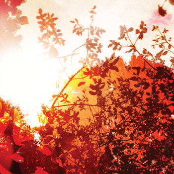 Music | bvdub | Brock Van Wey