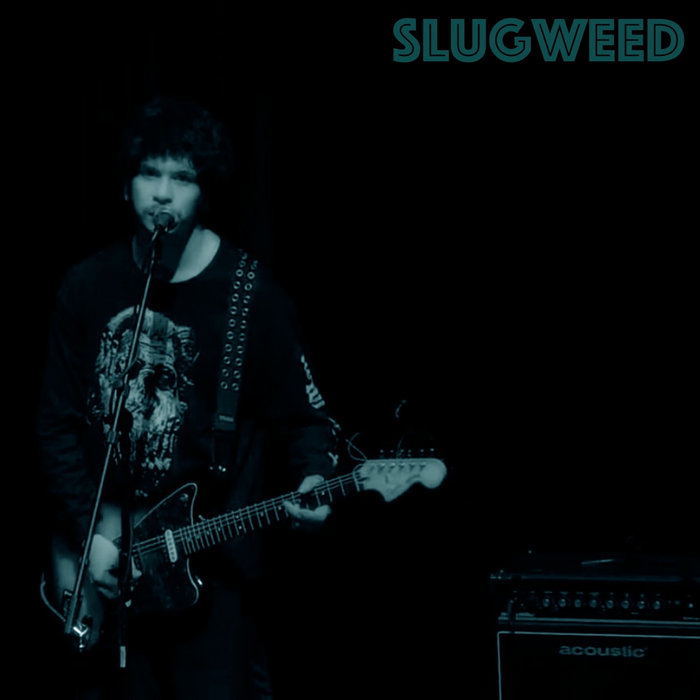 Flying Through The Inverted Abyss (LIVE) | SlugWeed