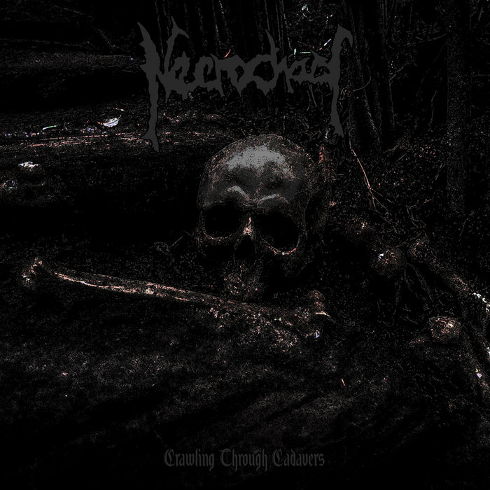 Crawling Through Cadavers | Necrochaos