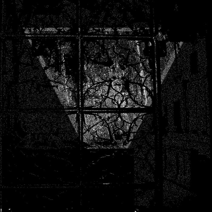 Cold Awakening | Heinous Undying | Translucent Black Capes