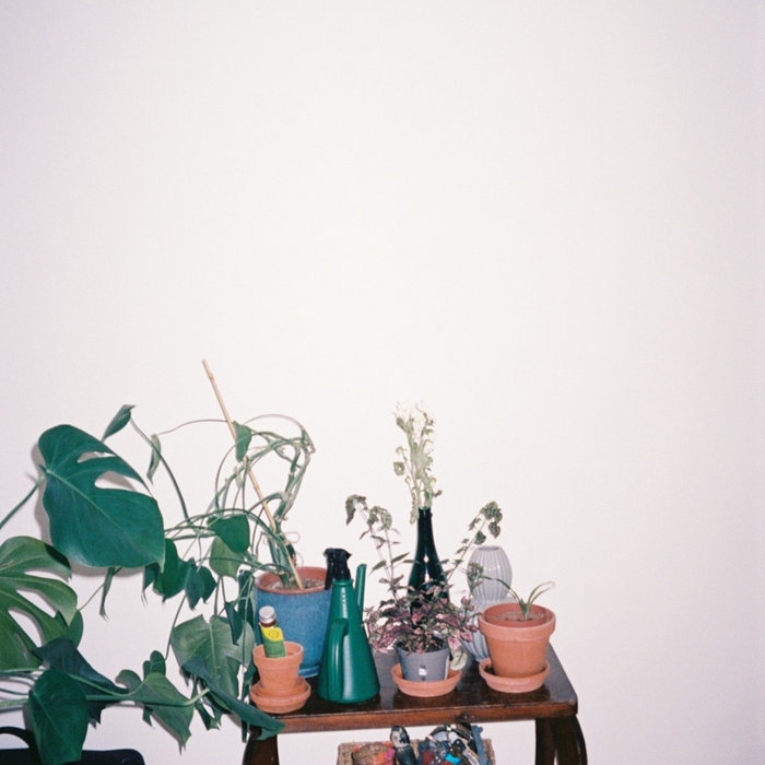 sendu mig | BSÍ | Tomatenplatten