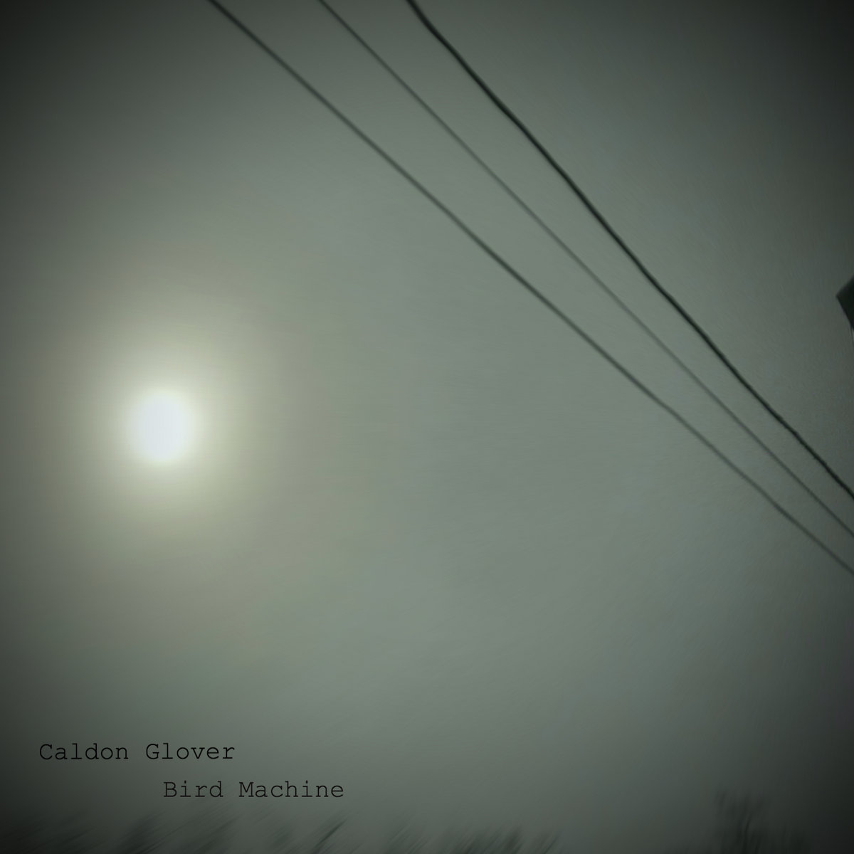 Bird Machine | Caldon Glover