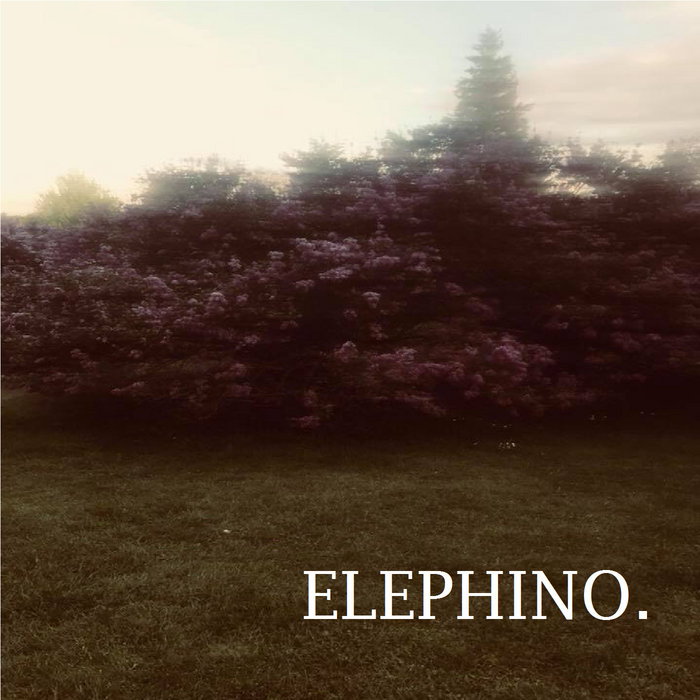 Elephino | Elephino