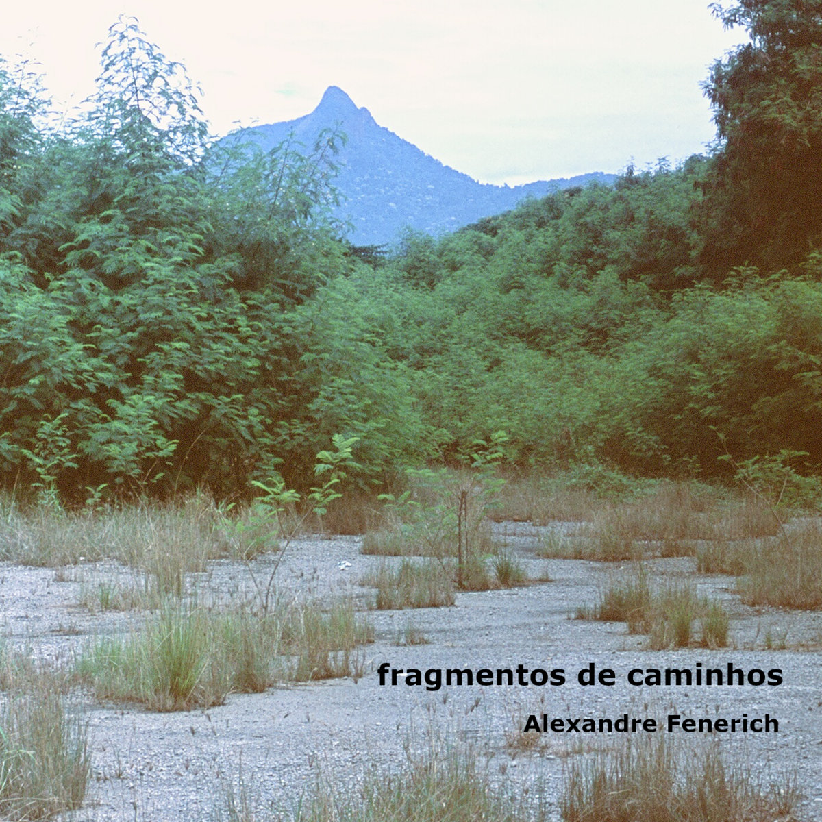 Sonhos Caminhos Fragmentos (Dreams Paths Fragments - 2020) | Ale Fenerich