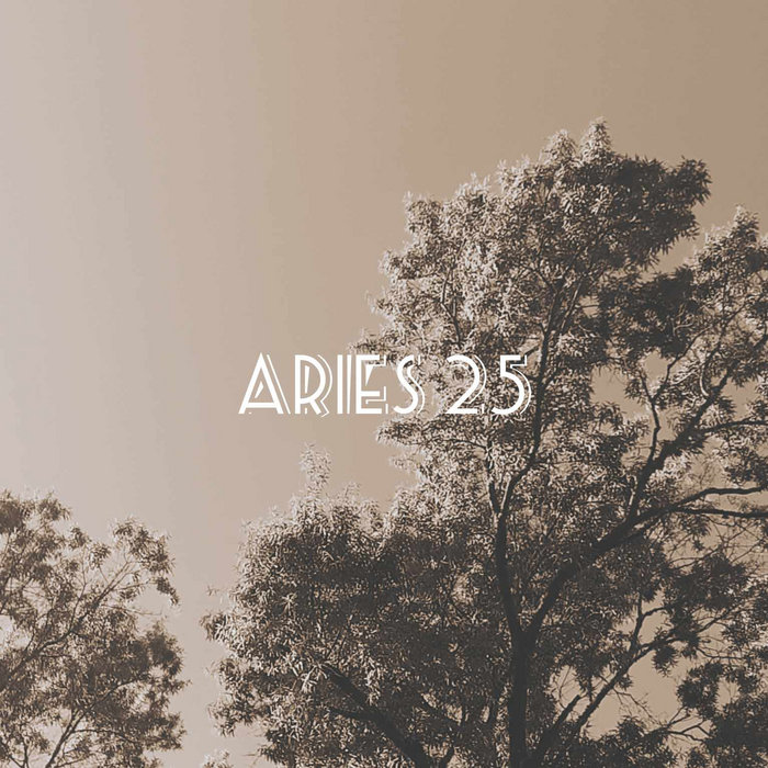 Aries 25 | Andrew Blackwell | Tiara & Andrew