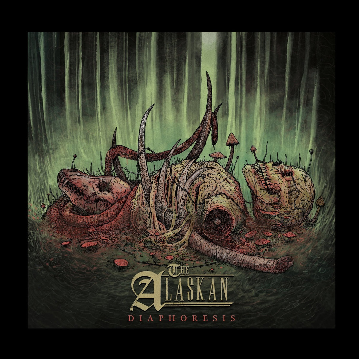 Diaphoresis | The Alaskan