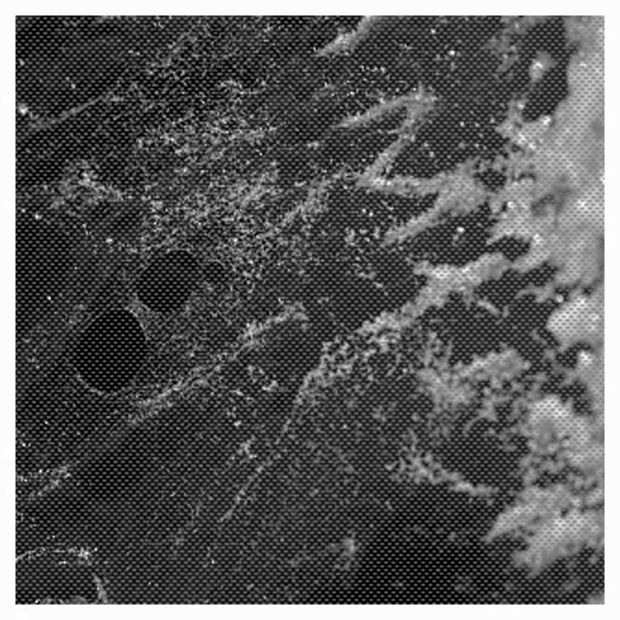 Decay / Severed Head (Single) | deepform