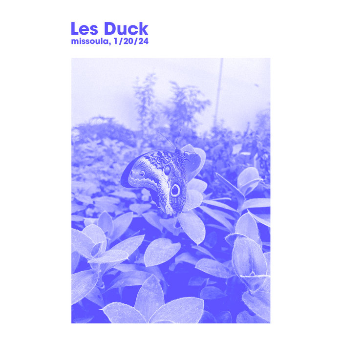 Les Duck: Missoula 1/20/24 | Les Duck - Bootlegs