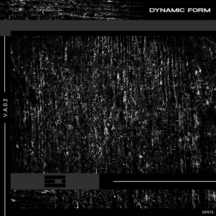 Dynamic Form V.A.0.2 | Various Artists | Dynamic Form