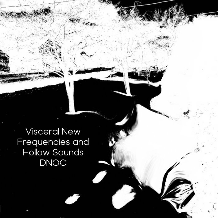 Visceral New Frequencies and Hollow Sounds / DNOC. The Splitsville ...