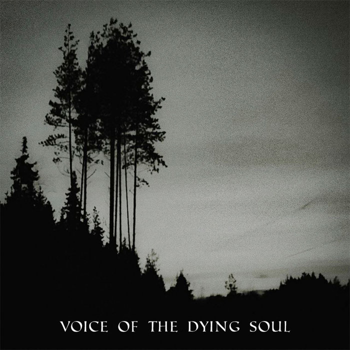 Voice Of The Dying Soul I Voice Of The Dying Soul