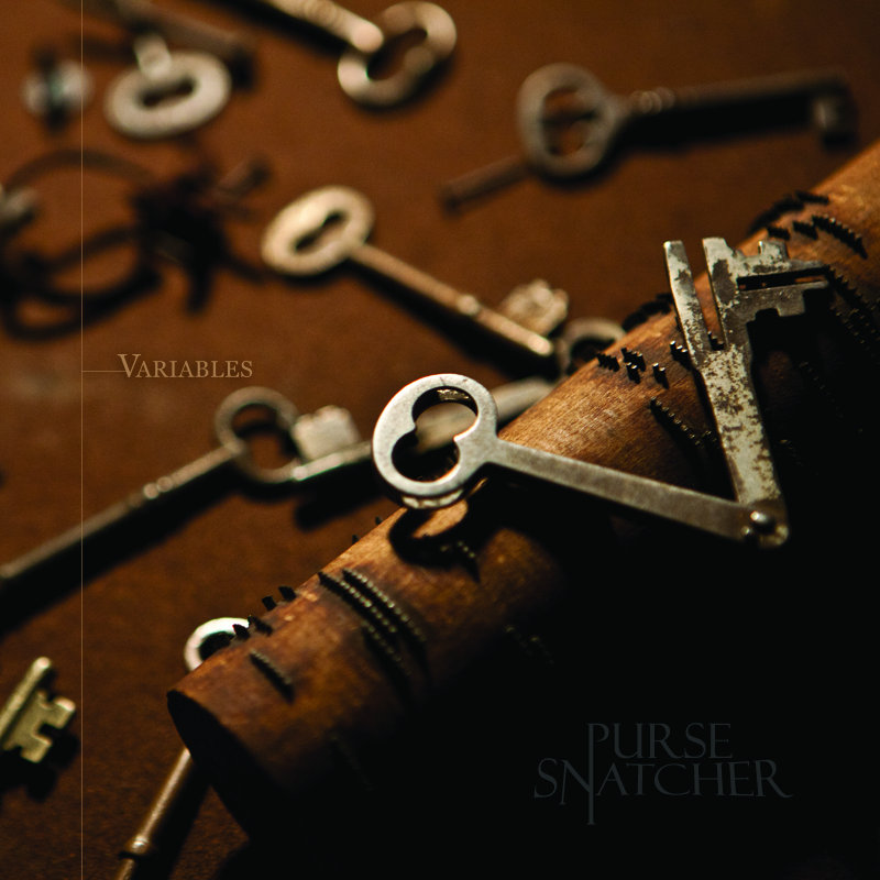 Variables | Purse Snatcher