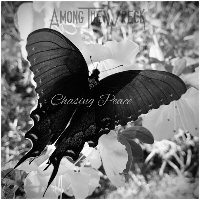 Chasing Peace | Among The Wreck