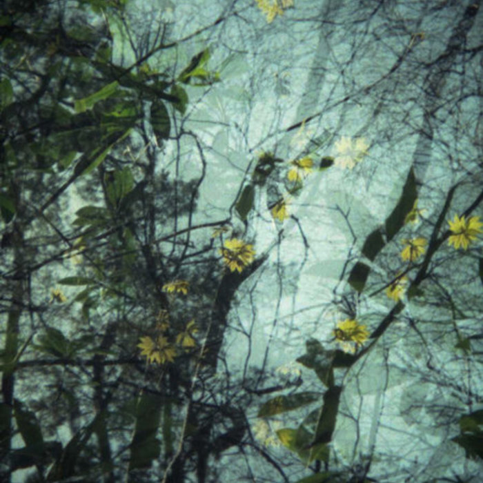 RIN | Jeff Stonehouse