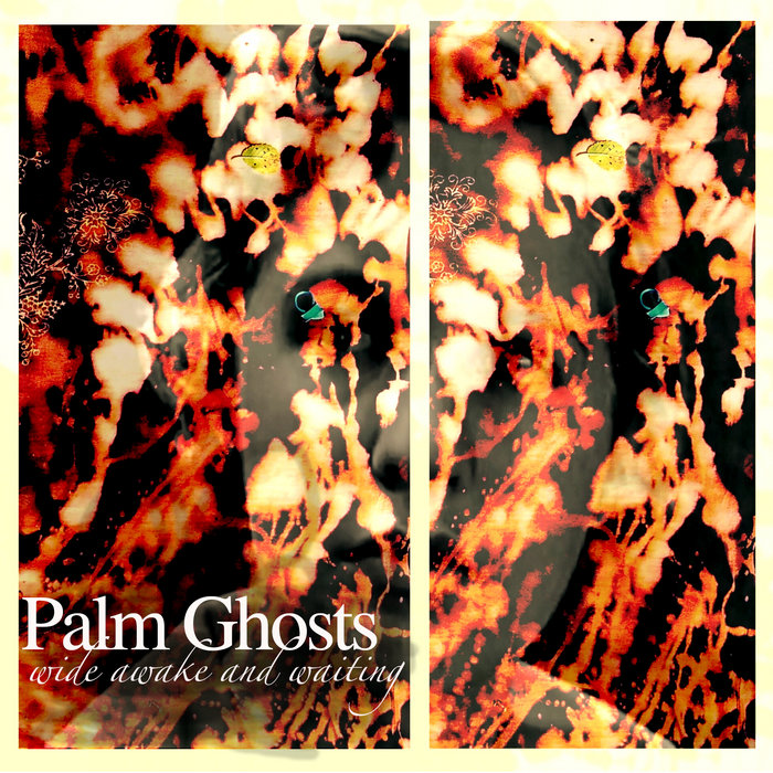 Wide Awake and Waiting | Palm Ghosts