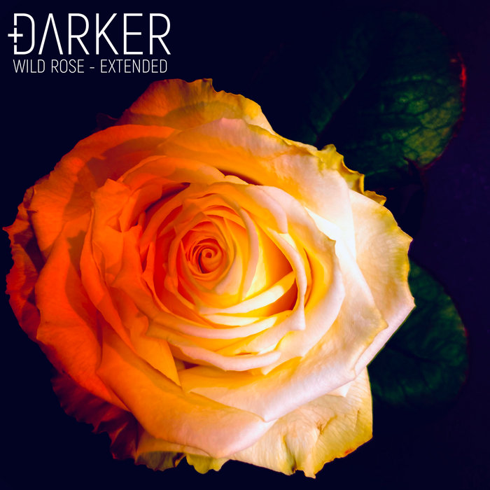 Wild Rose (extended) | Darker