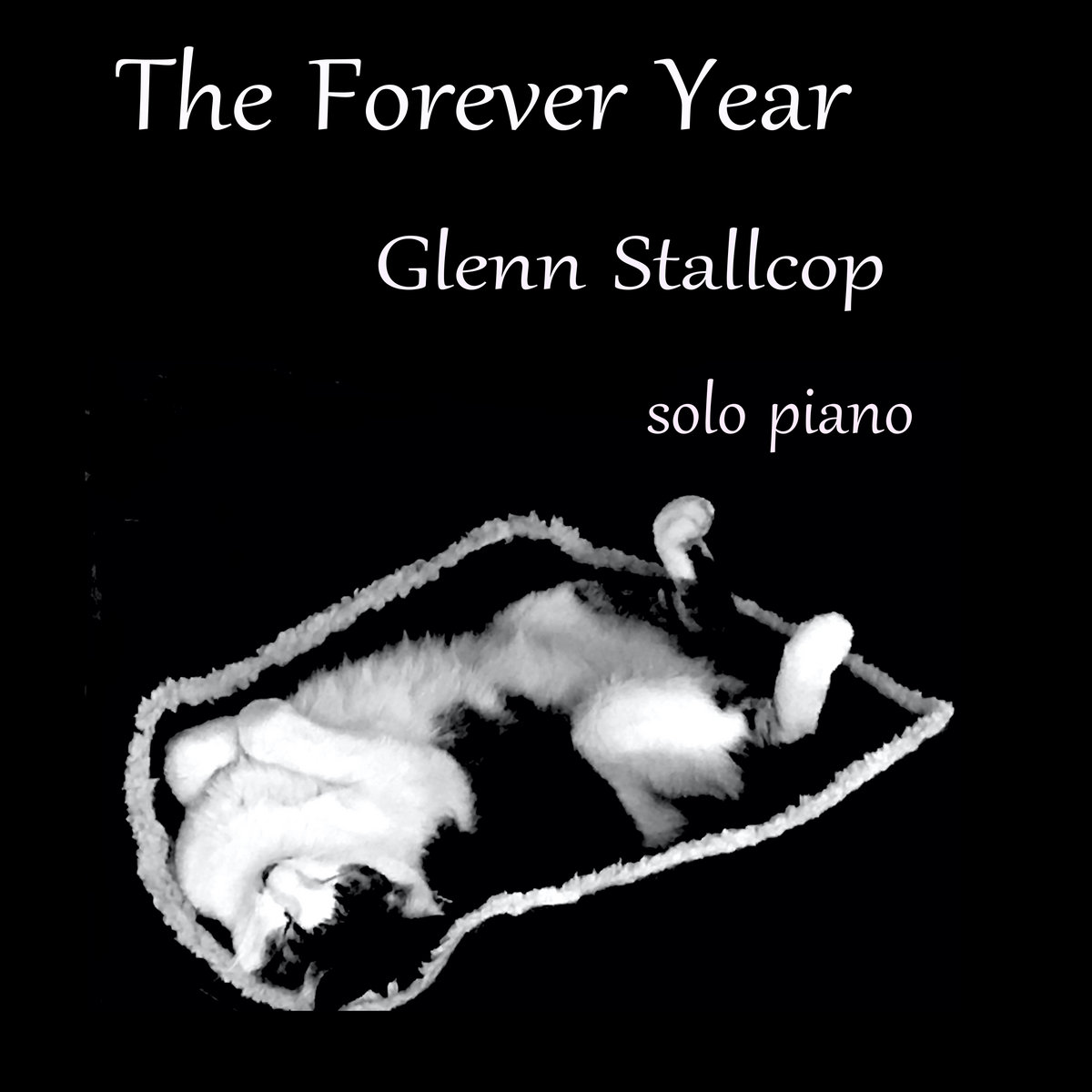 The Forever Year | Glenn Stallcop