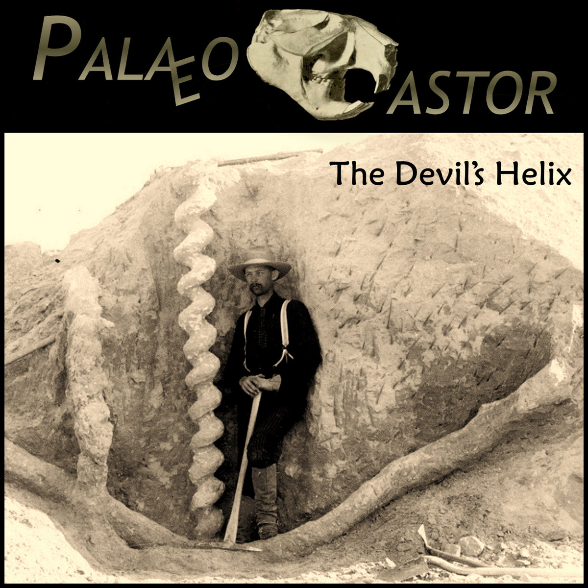 Minnesota Winter | PalaeoCastor