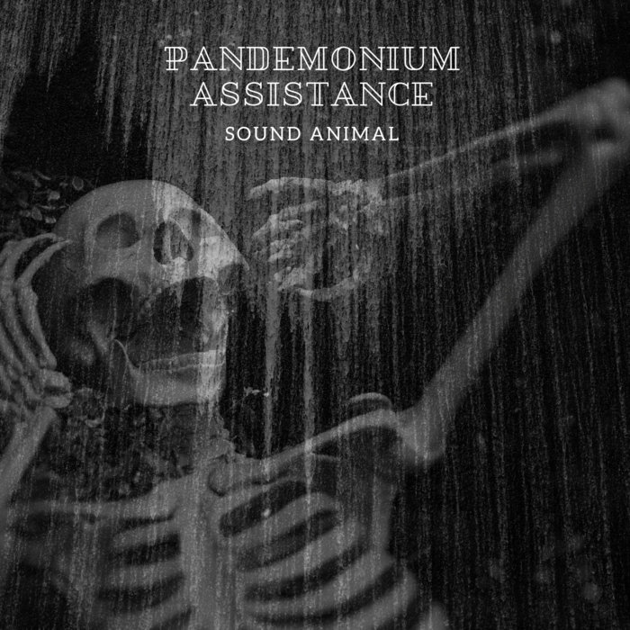 Pandemonium Assistance | Sound Animal