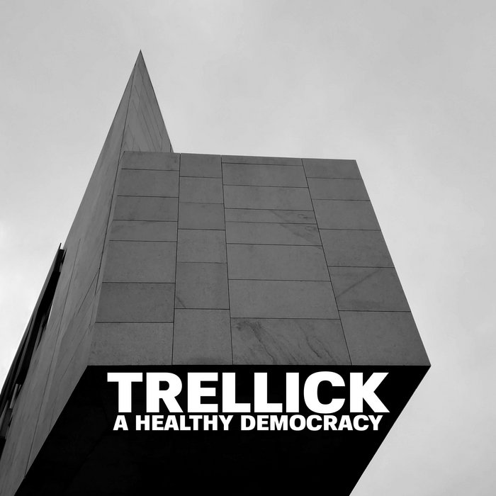 A Healthy Democracy | Trellick