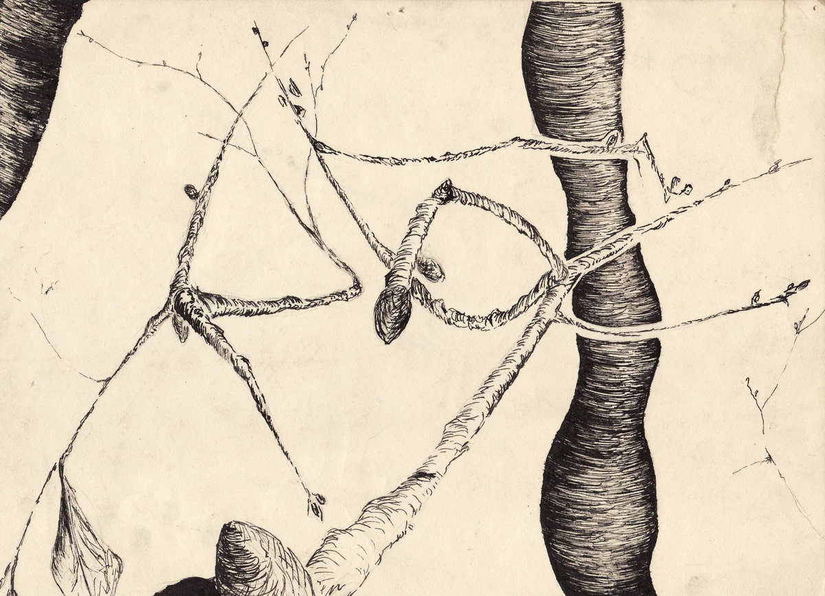 soundscraps | Robotany