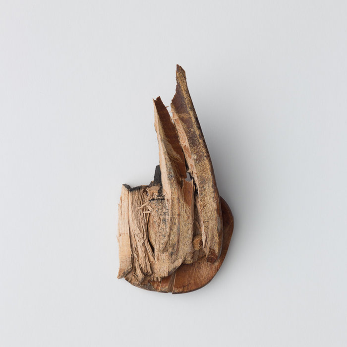 studies for the exploded cello I | Ricardo Jacinto