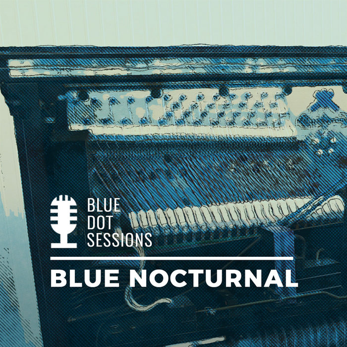 Blue Nocturnal | Blue Dot Sessions