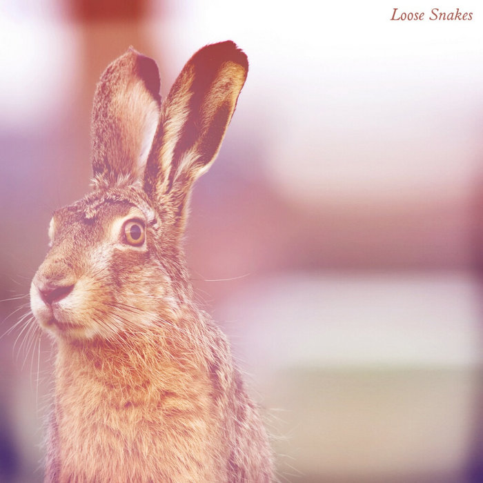 Loose Snakes EP | Loose Snakes