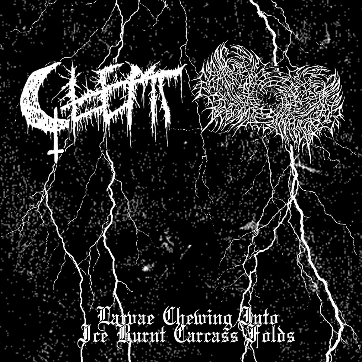 Larvae Chewing Into Ice Burnt Carcass Folds | GLEMT & CALLING OF ...