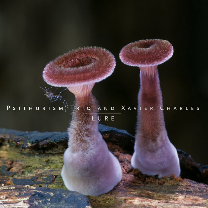 LURE | Psithurism Trio with Xavier Charles | SoundOut