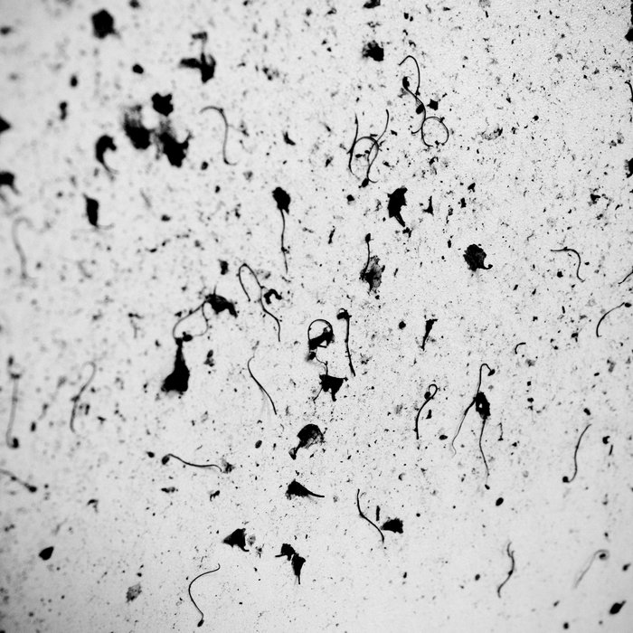 MM/DD/YY - Selected Music of Kenneth Kirschner / Volume 2 | Kenneth ...