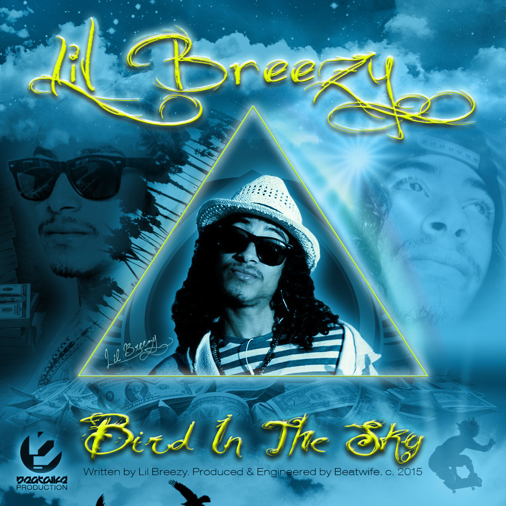 Bird In The Sky | Lil Breezy