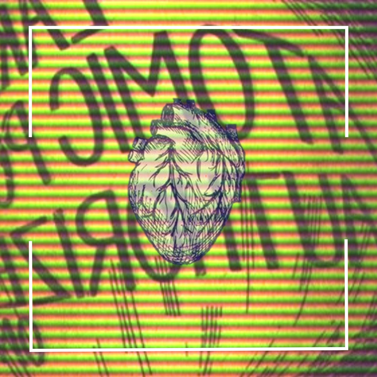 Kimota! | AlqvitrÁN