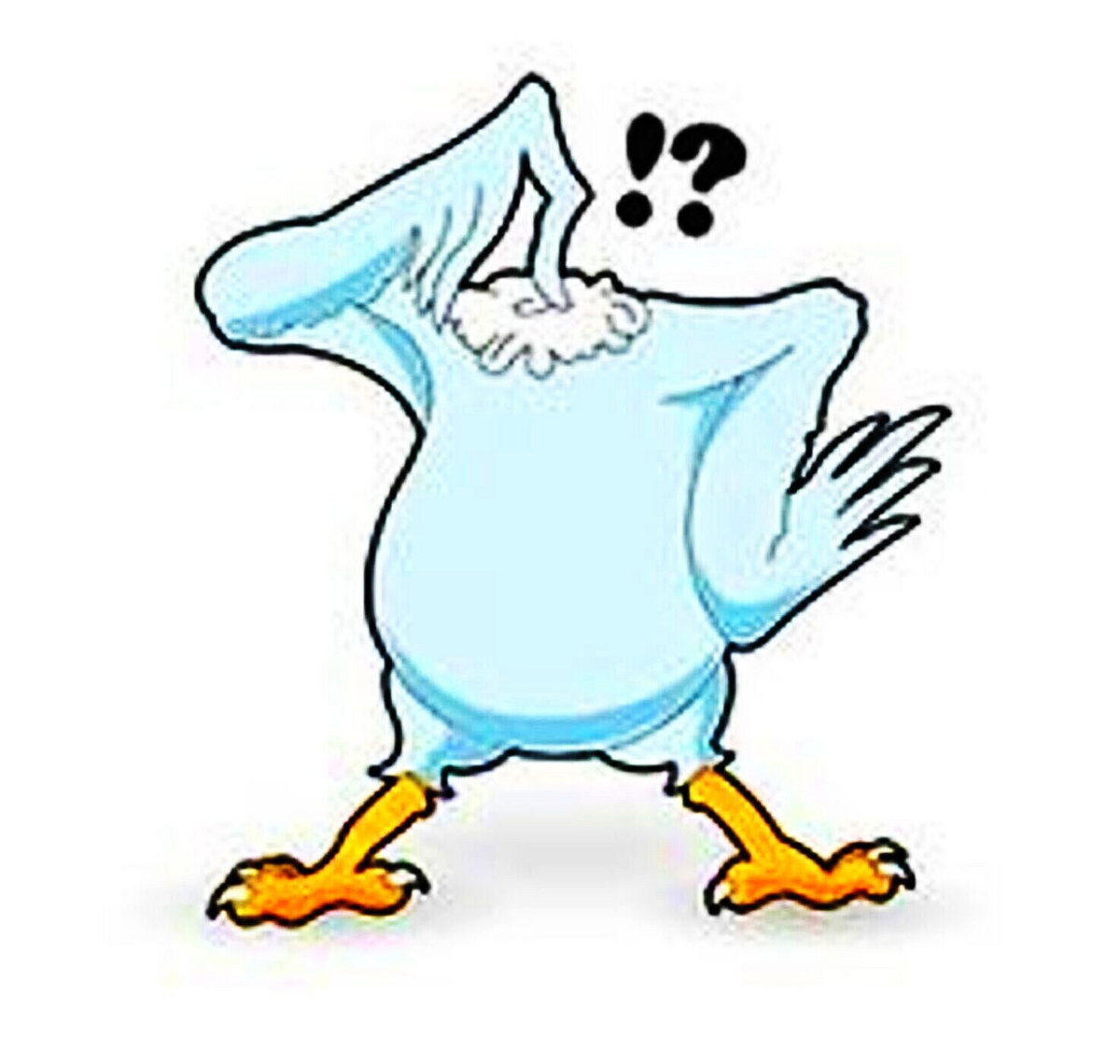 Headless Chicken | mr.morski Headless Chicken | mr.morski