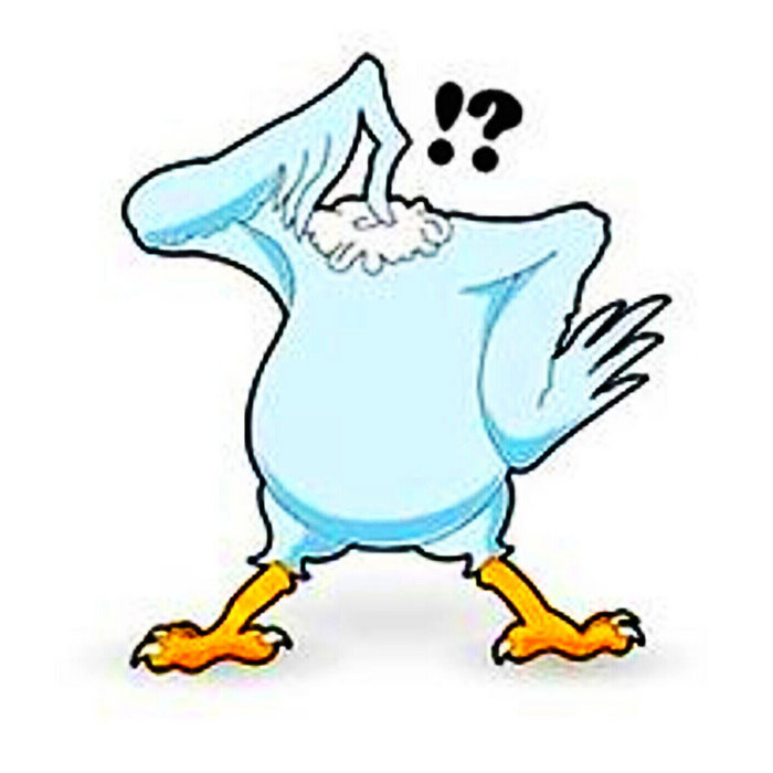 Cartoon Chicken Head Cut Off