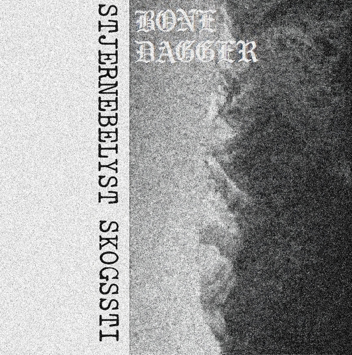 STJERNEBELYST SKOGSSTI | BONE DAGGER | Bone Dagger