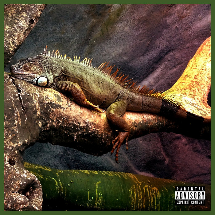 Iguana on a Branch | Mack Plaid