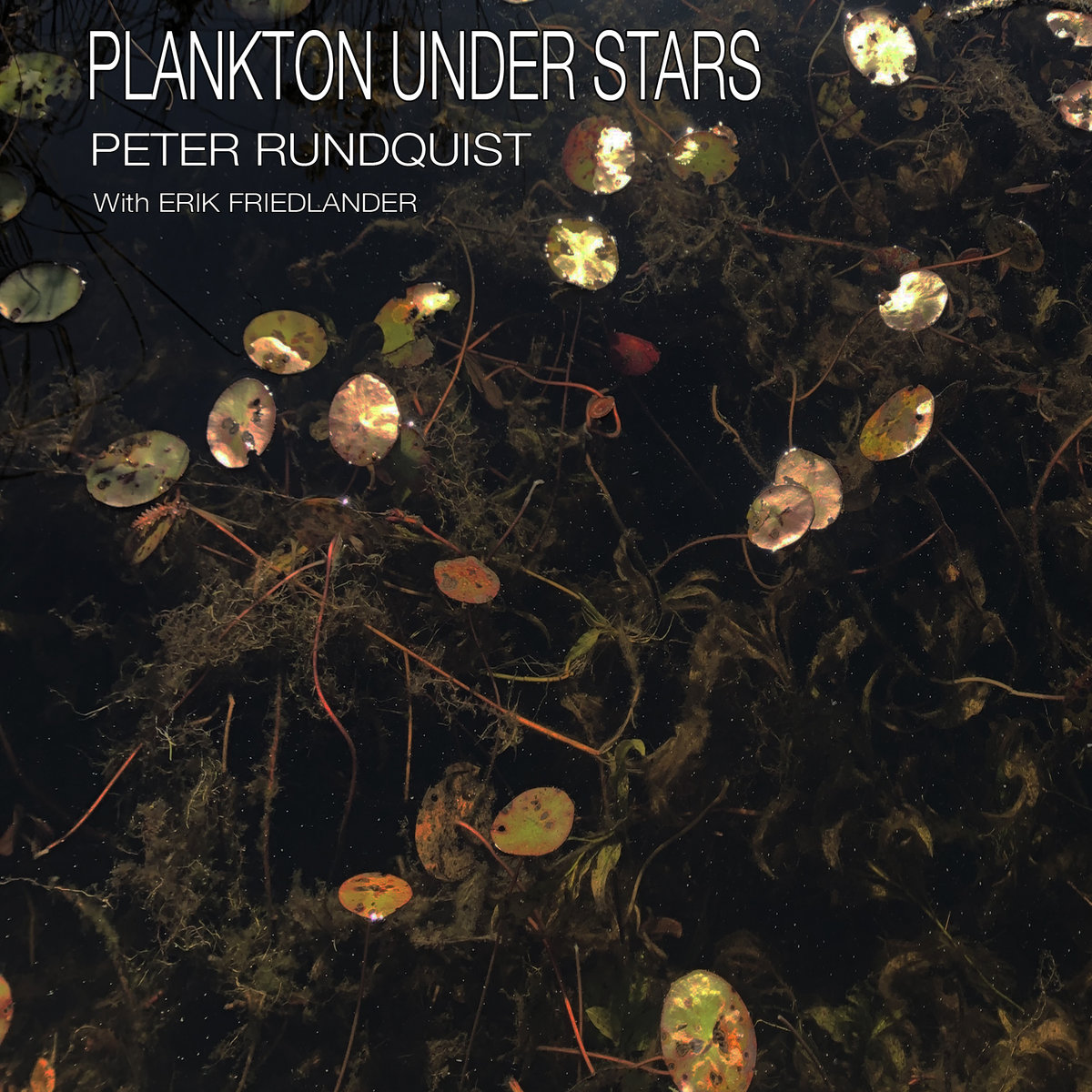 Plankton under Stars | Peter Rundquist