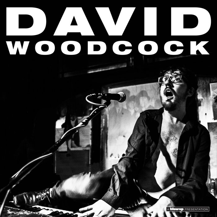 David Woodcock | David Woodcock