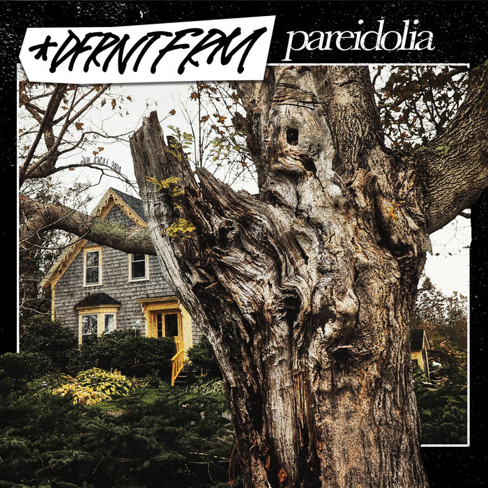 Pareidolia | DFRNTFRM | Surface Level Records
